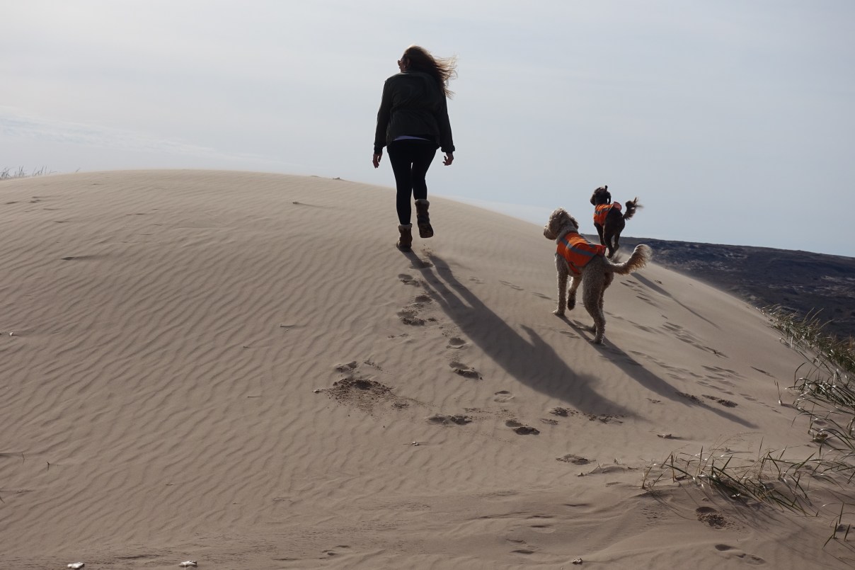 Sleeping Bear Point – Creative Instigation